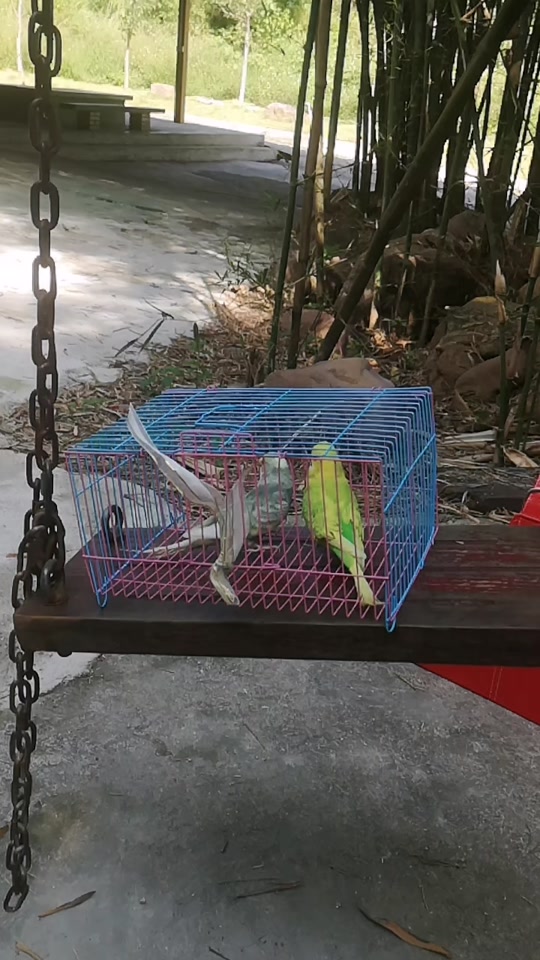 mlllll的抖音 - 抖音