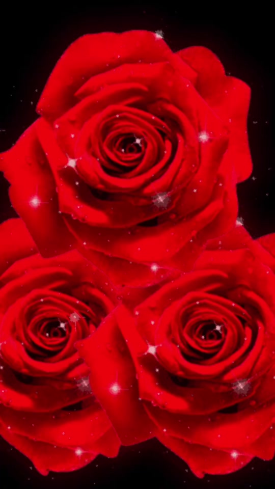 ROSE新歌《APT》，也是用上ROSE专属壁纸啦！歌曲超洗脑，超爱朴女士！☁️🎵🎧 APT. #秀出你的apt壁纸 #网易云背景图#终于让我 ...