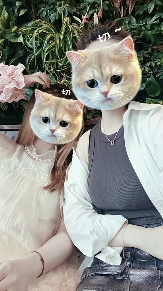 nicopokie在抖音记录美好生活20240719 - 抖音