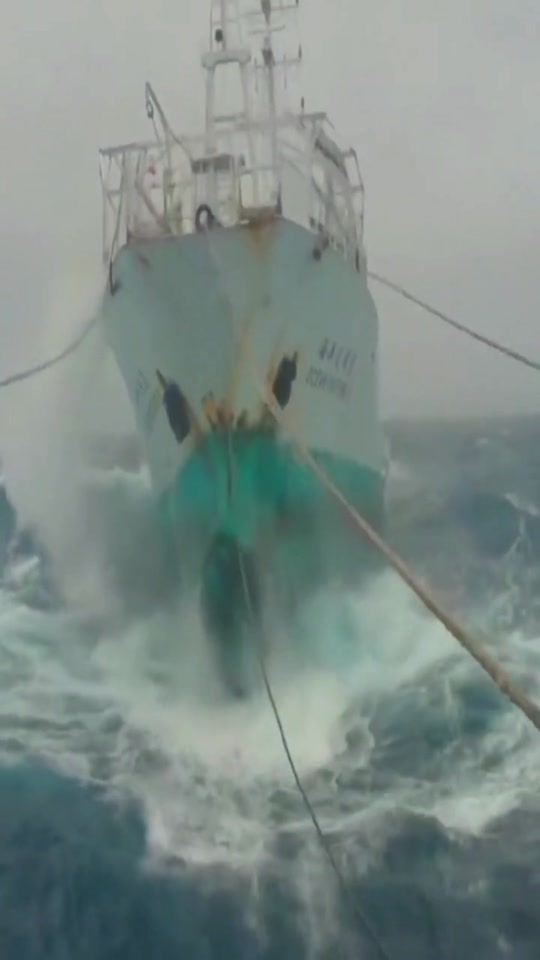 欢迎13号线新成员ZBM15入段！#北京地铁 #北京地铁13号线 - 抖音