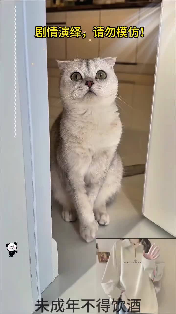 行走的生化武器 #猫meme小剧场#医院趣事 #灰指甲终结者 - 抖音