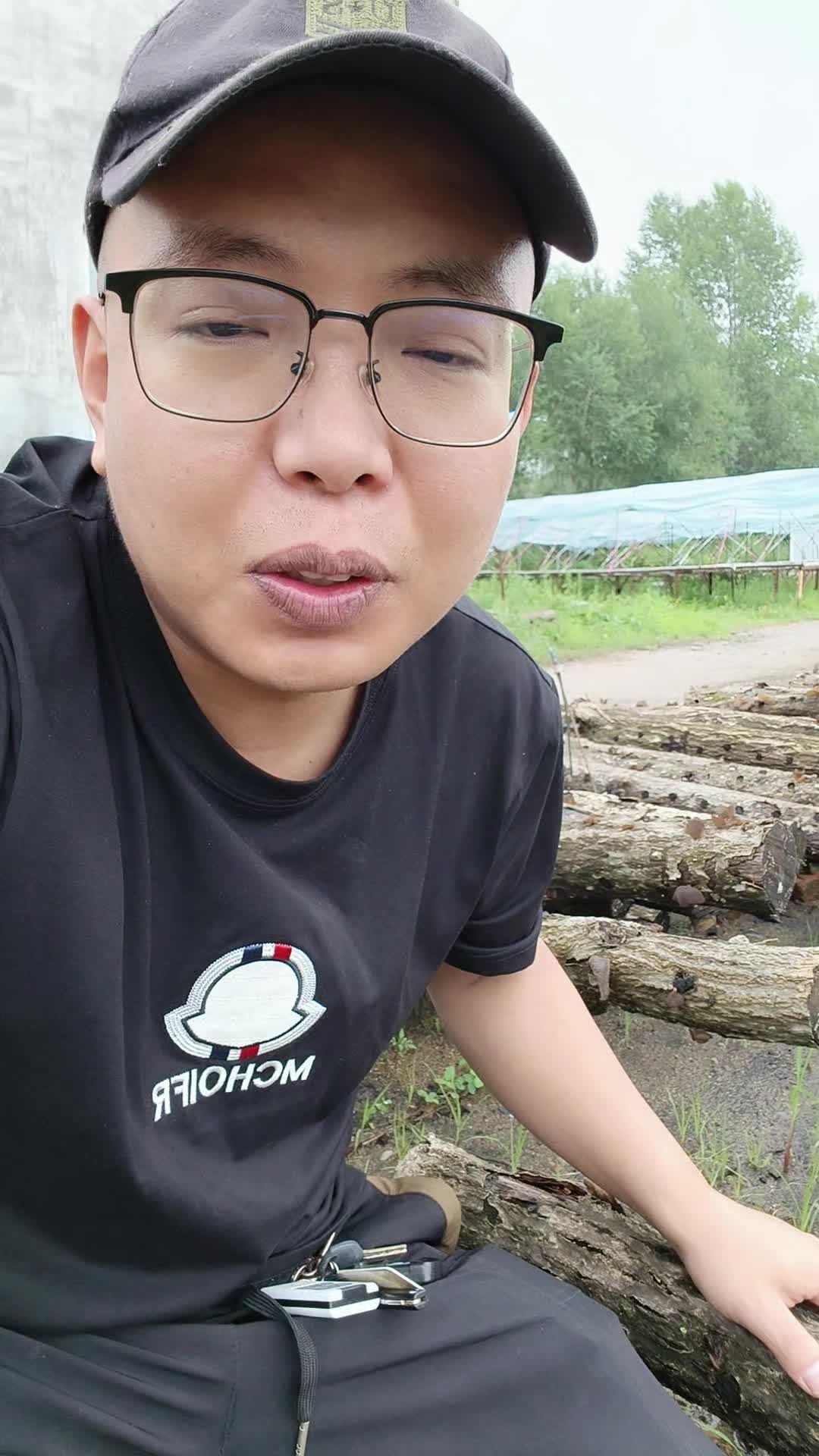 【工厂价直发】压缩海带丝 挑选中段海带压缩而成鲜嫩脆爽 - 抖音