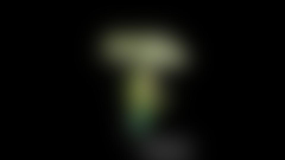 Infp小蝴蝶和小蝴蝶 抖音